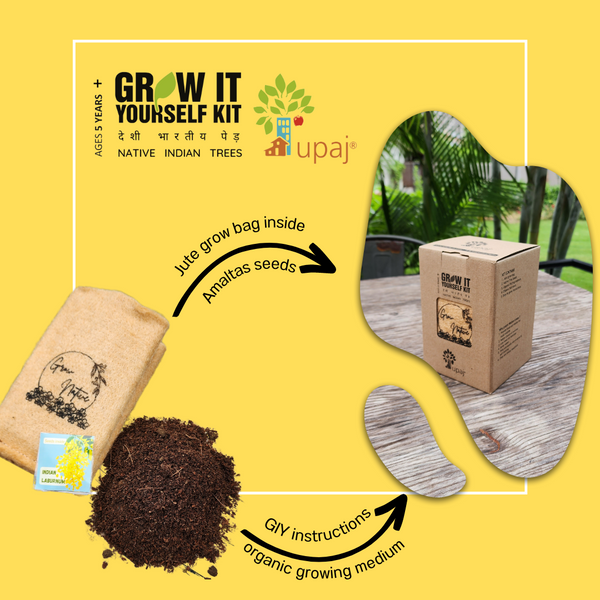 GIY Native Trees – Upaj Farm - Grow It Yourself Kits
